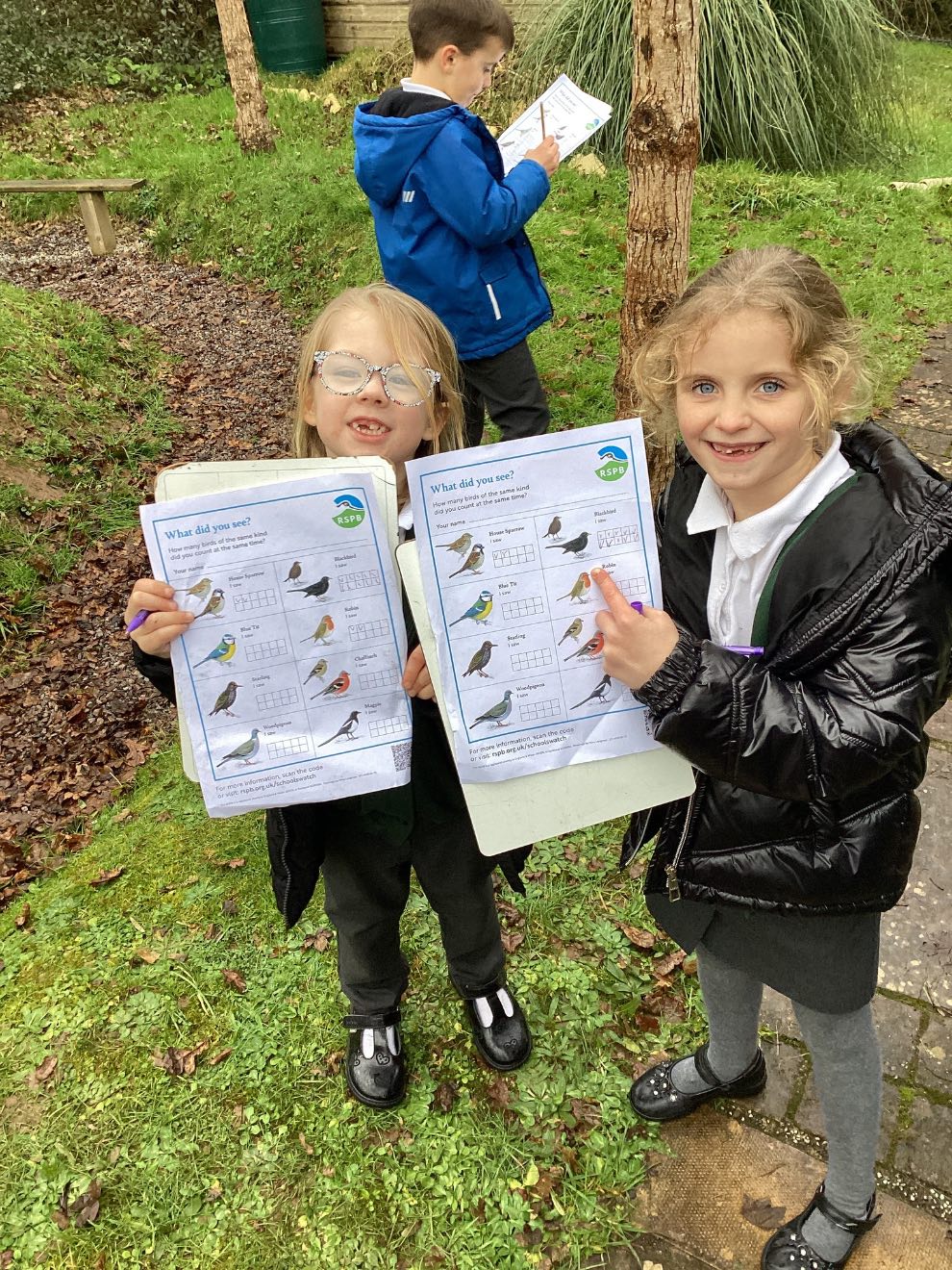 A Feather in their Cap: Exwick Heights Pupils Help Build National Birdwatch Picture | The Exeter ...